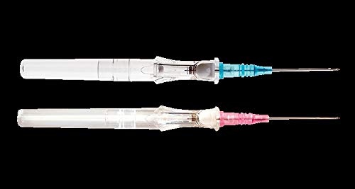 Bd Insyte Autoguard Winged I.V. Catheter 20G x 1 In – Locatel Health ...